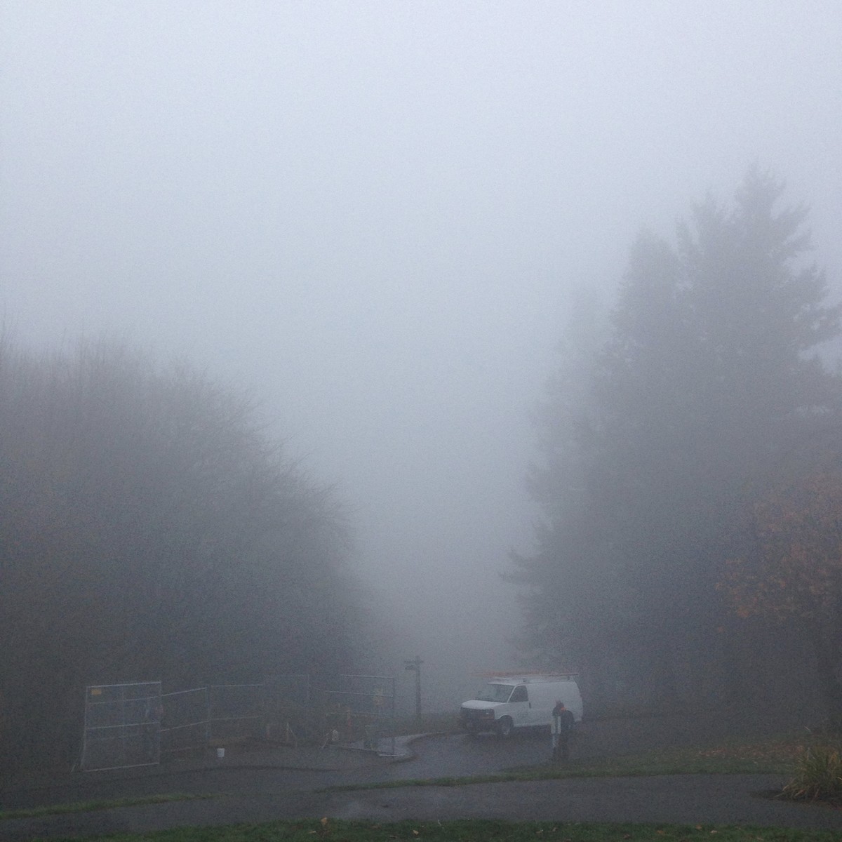 Axoplasm / Anxieties