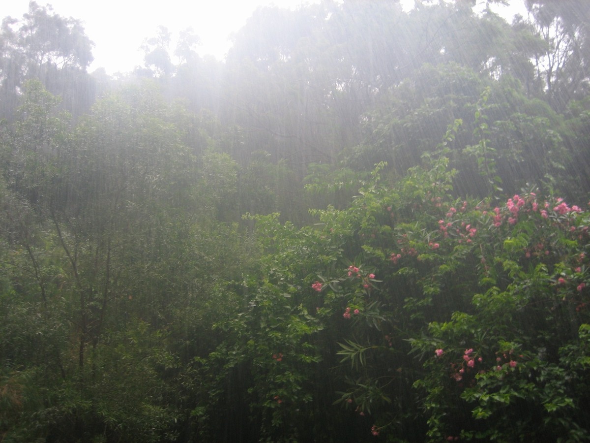 Axoplasm / Xiamen Love