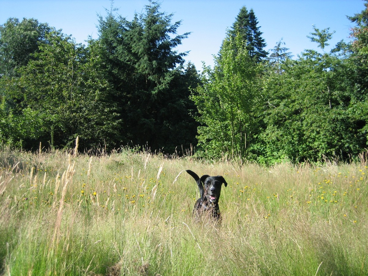 Axoplasm / Oregon Again