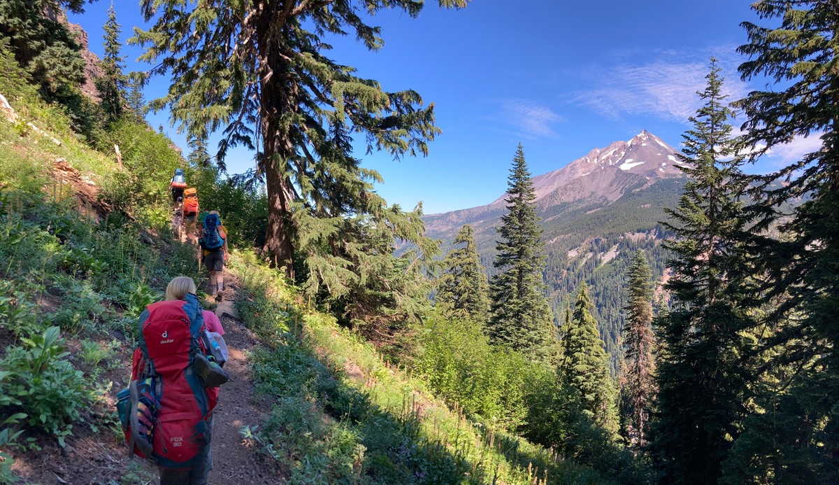 Axoplasm / Every other week off the grid is not enough